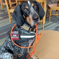 Broke Dog: Apparel, Accessories, and More for You and Dog – BROKE DOG