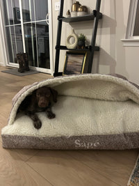 Broke Dog: Apparel, Accessories, and More for You and Dog – BROKE DOG