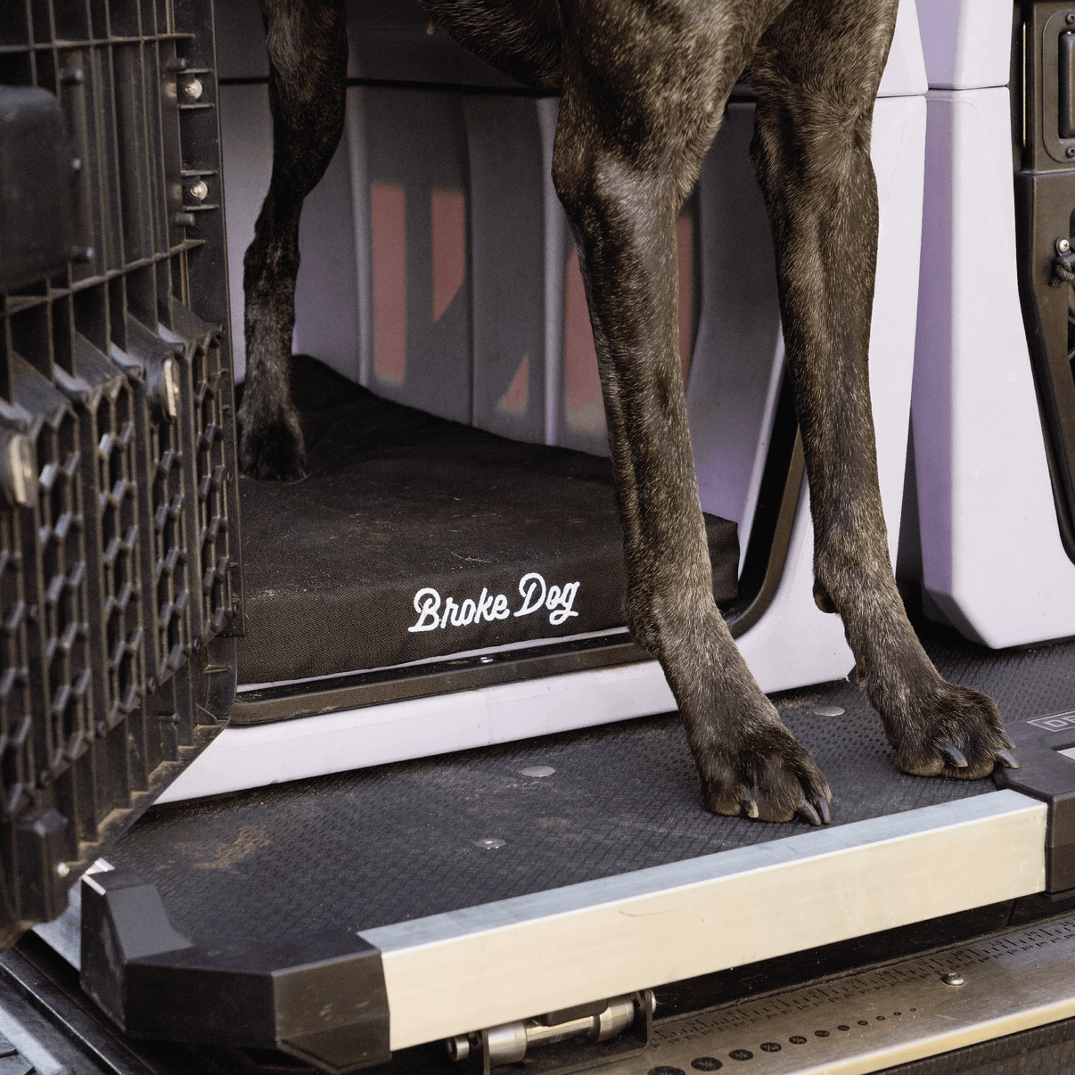 Broke Dog Venture Pro Kennel Pad for Gunner Kennels – BROKE DOG
