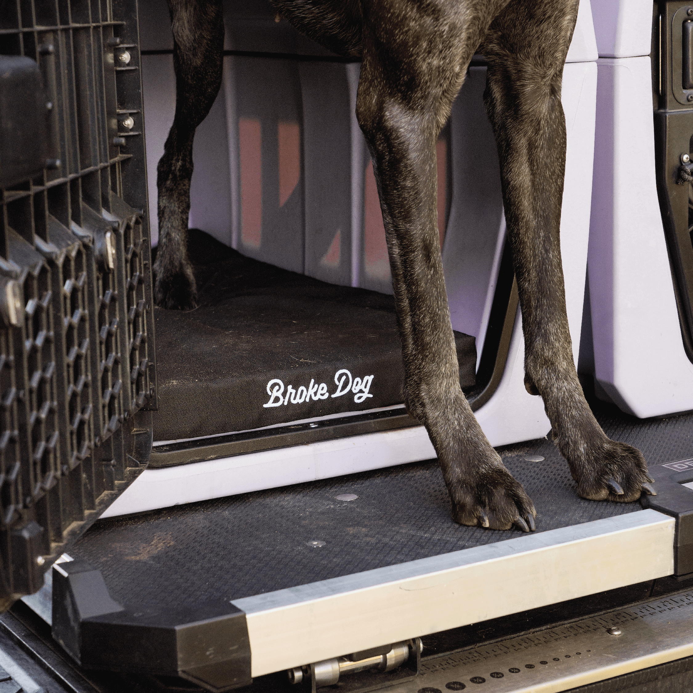 Premium Dog Crate Pads For Comfort And Style BROKE DOG Premium Dog Crate Pads For Comfort And Style BROKE DOG