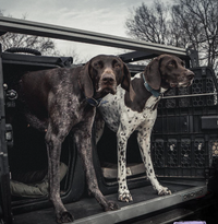 Broke Dog: Apparel, Accessories, and More for You and Dog – BROKE DOG